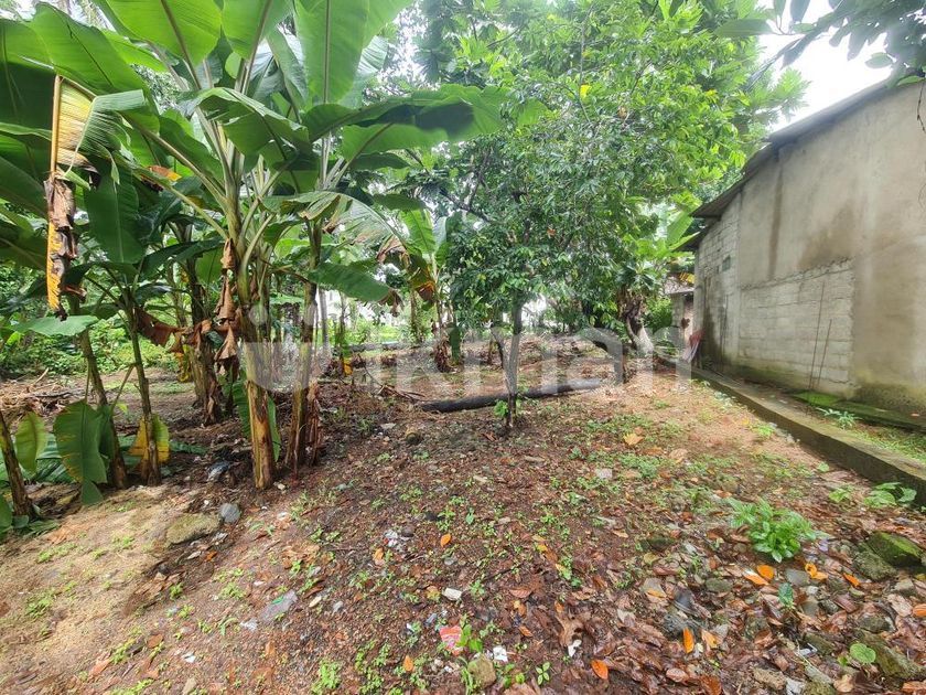 10 P Residential Bare Land for Sale in Maharagama | ikman