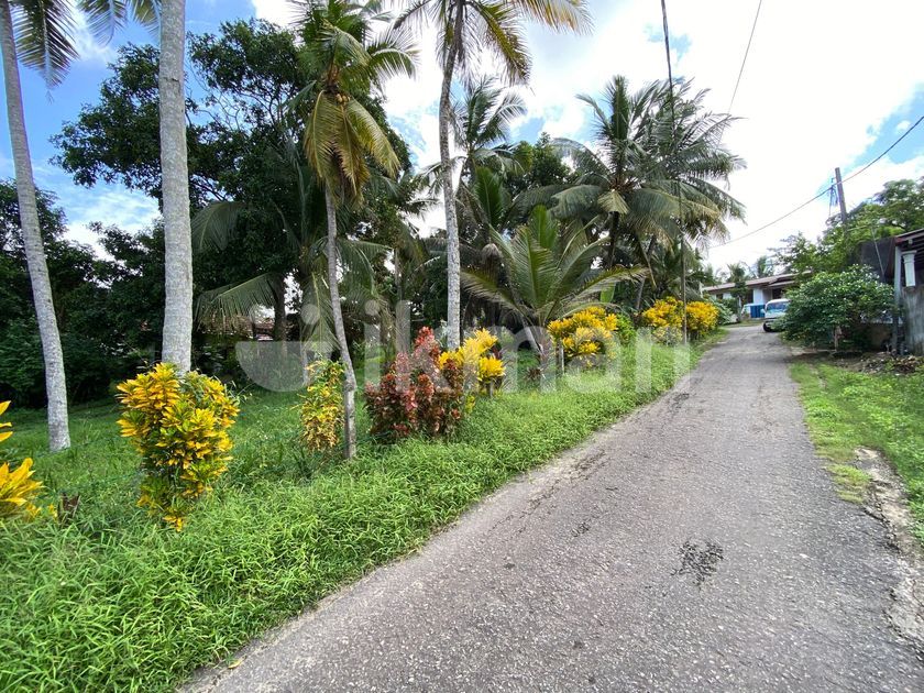 10 Perches Land in Piliyandala | ikman