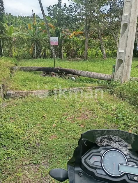 10.5 Perch Land Katunayaka Seeduwa Amandoluwa | ikman