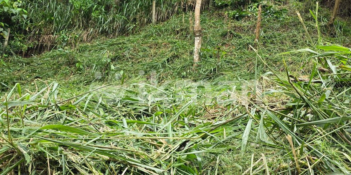 10p Land For Sale in Lewella - Kandy | ikman
