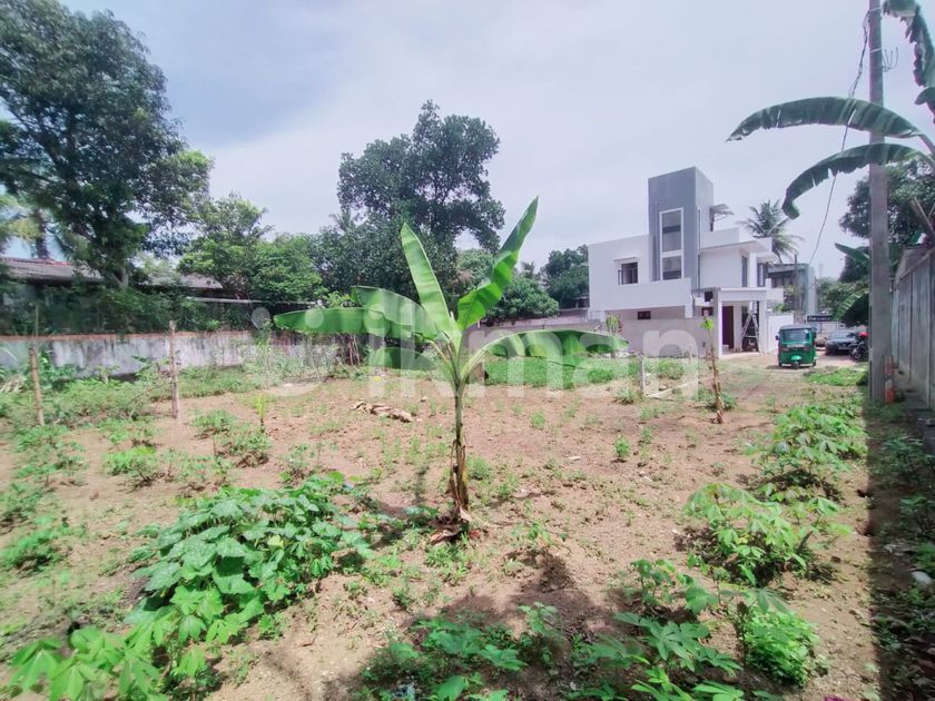 10P Residential Bare Land For Sale In Malabe | ikman
