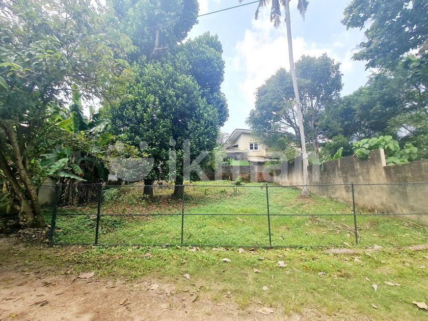 11 P Bare Land for Sale in Colombo 05 | ikman
