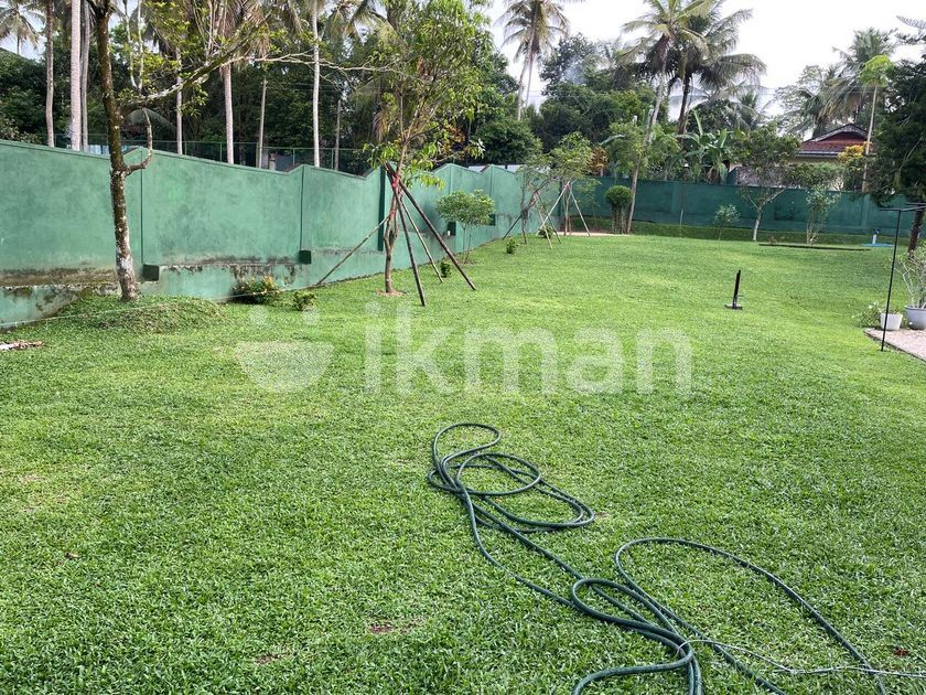 111- valuable property for sale in gampaha balummahara | ikman