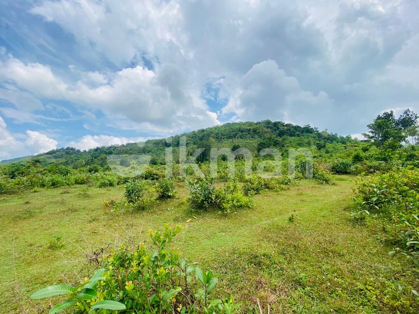 12 Acres Commercial Land Facing 30ft wide Road, Malagala, Padukka | ikman