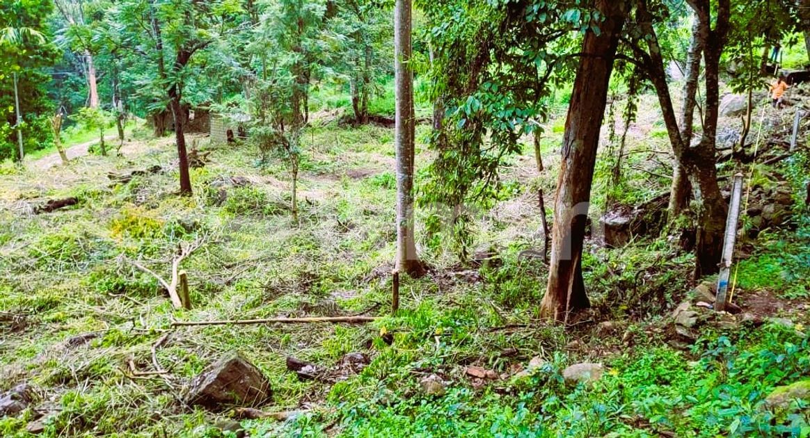 122P Land in the Misty Mountains of Haputale (SL 14373) | ikman