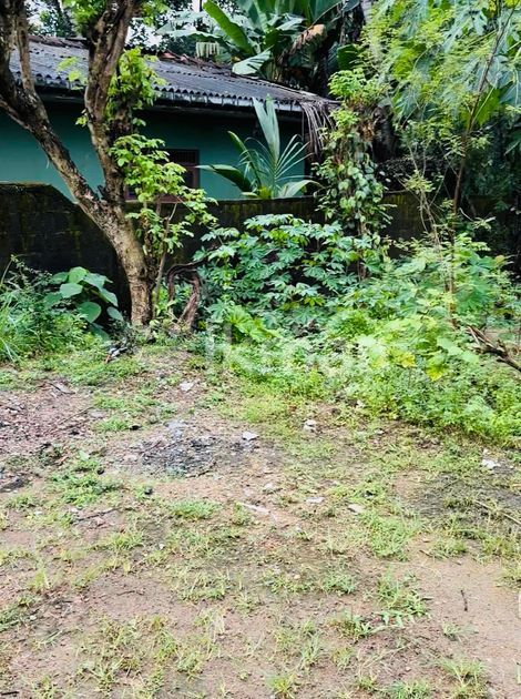 12.4 P Land for Sale – Daham Mawatha, Malabe | ikman