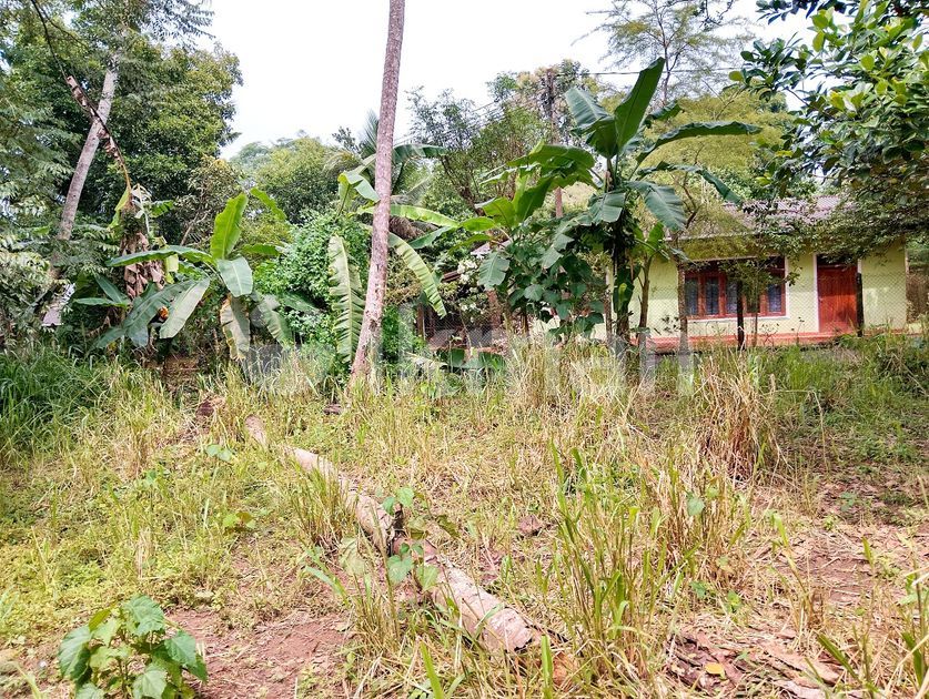 12P & 24P Land For Sale In Piliyandala Hedigama | ikman