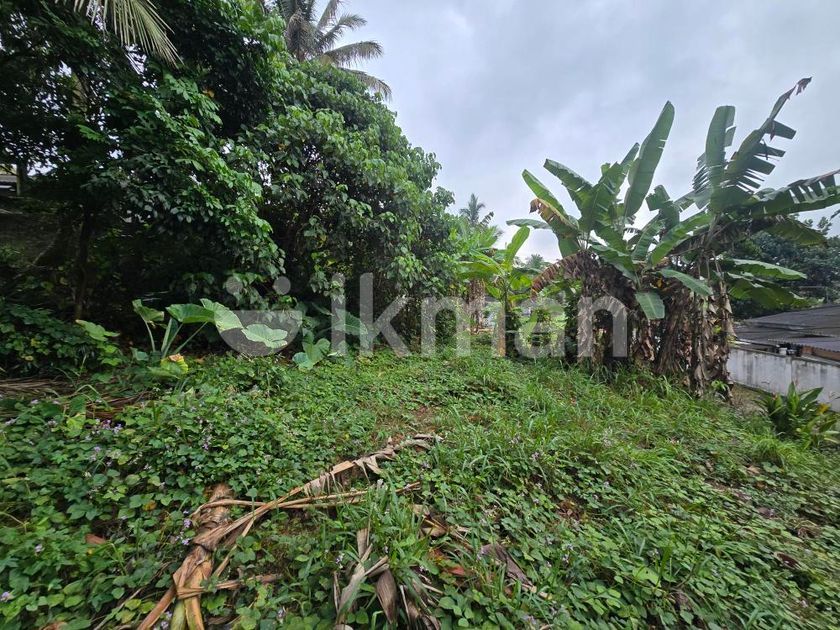 12P Bare Land For Sale In Kesbewa | ikman