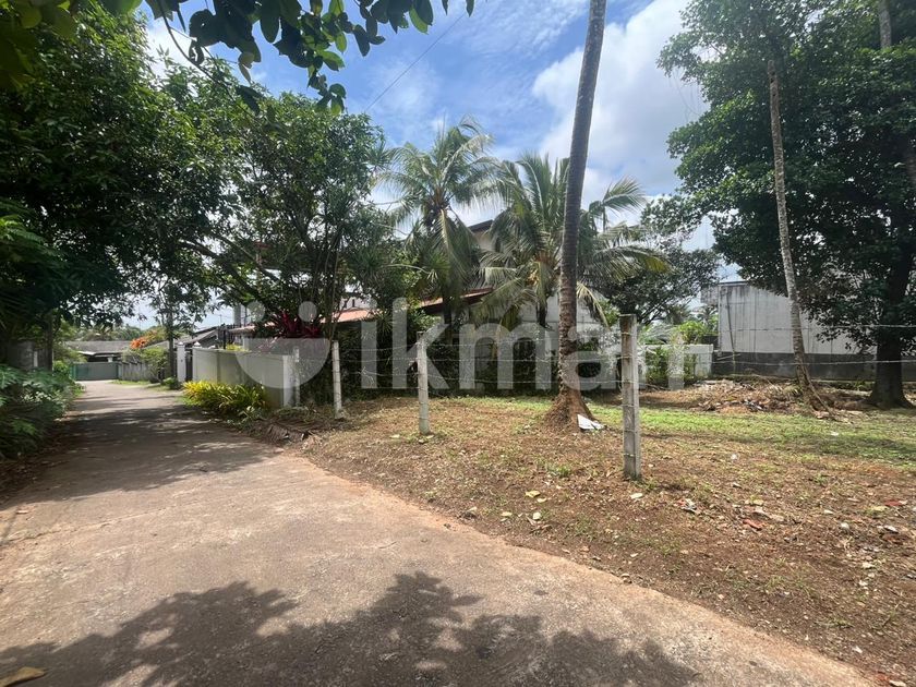 14 Perch Land For Sale In Kadawatha( LA-GAMKD-158) | ikman