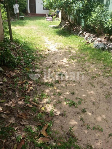 15 Perches Land Sale in Hamers Avenue Colombo 6 | ikman