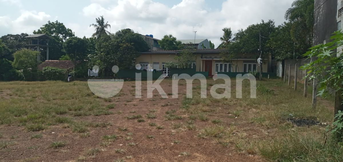 150P Land for sale in the Heart of Pilliyandala City | ikman
