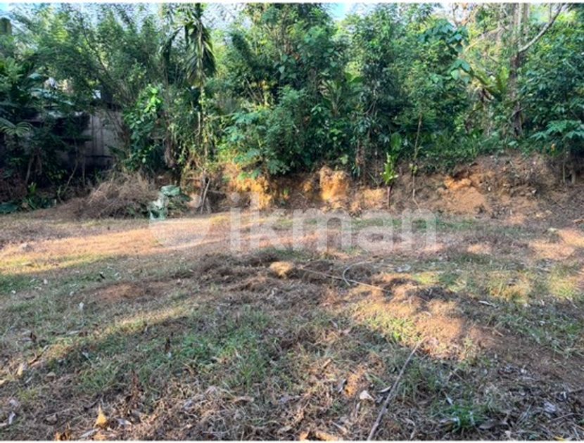 16 Perch Land Eheliyagoda | ikman