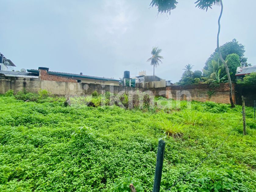 16.5P High Elevated Land Close to Level Road, Kirulapone, Cmb 05 | ikman