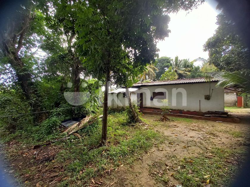 17 Perch Land with House Facing River in Katunayaka | ikman