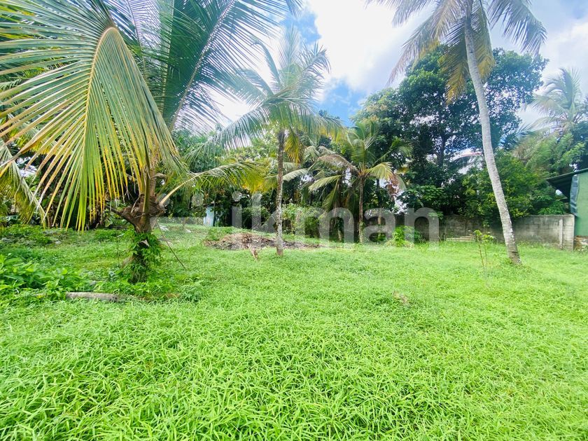 17 Perches 2 Superb Land Blocks Close to Main Rd, Thalahena, Malambe ...