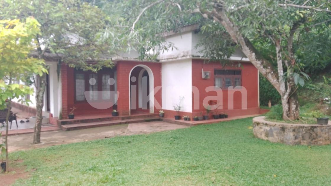 19.5P Four Bedrooms Luxury House for Sale in Candy. | ikman