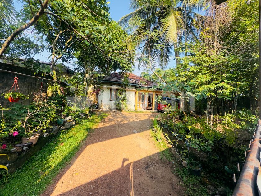 20 P With House sale At Subasadaka Road Kanatha Talawathugoda | ikman