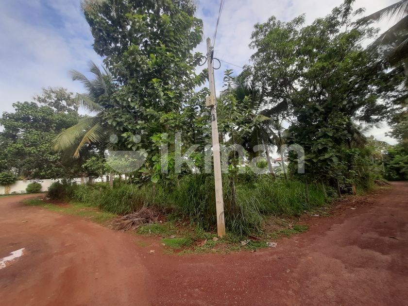 20 Perch Bare Land for Sale in Batagama, Kandana (C7-4660) | ikman