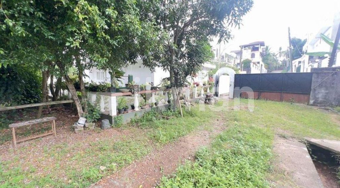 20 Perch Land For Sale In Makola (LA-GAMKE-121) | ikman