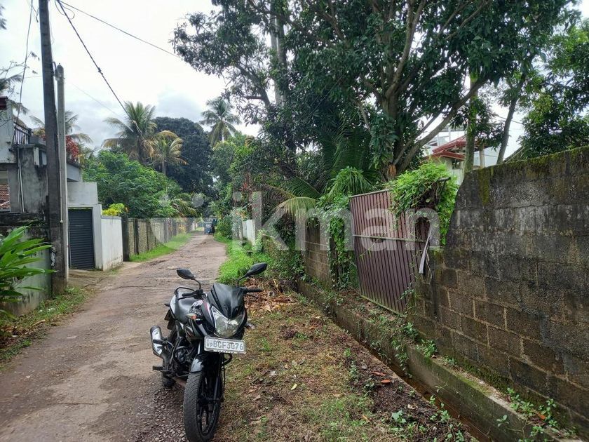 20 Perch Land for Sale Ja-Ela Ekala Road | ikman