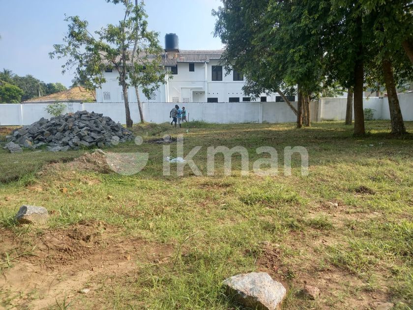 20 Perch Land in Negombo Town Jayantha Road for Sale | ikman