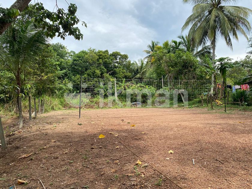 20 Perches Bare Land Nittambuwa | ikman