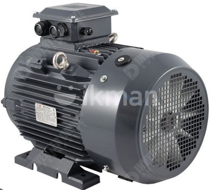 2.2kw 3 Hp 4pole 1440 Rpm Induction Motor Men for Sale in Pannipitiya ...