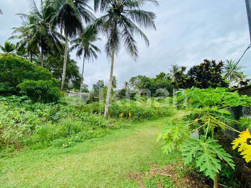 240 Perches Land for Sale at Madulawa Road, Watareka | ikman