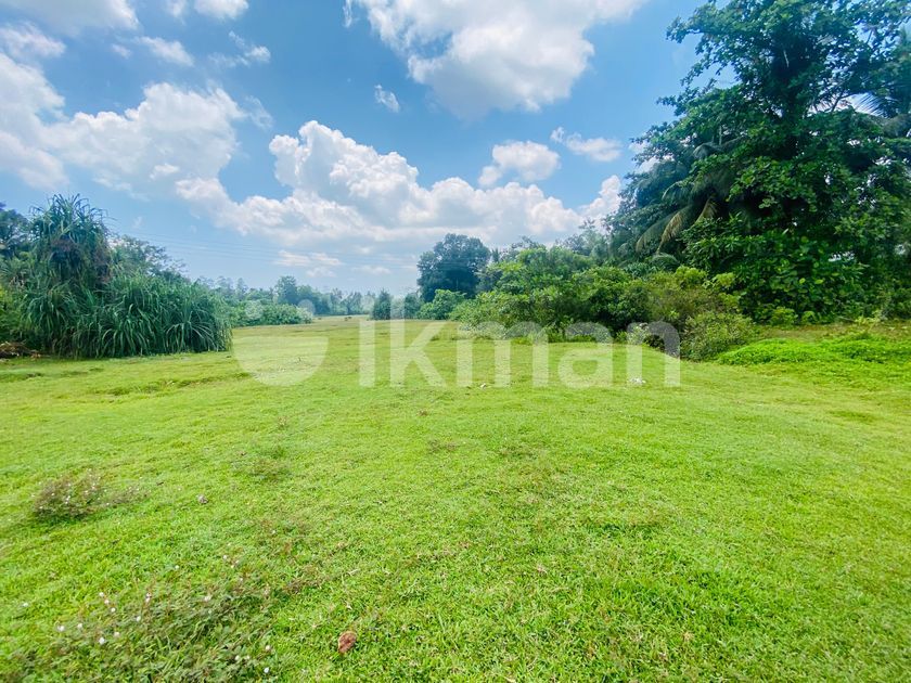 260 Perches Superb Land Facing Paddy Field at Thalagala | ikman