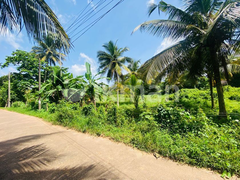 260P Land at Makilangamuwa Ganemulla | ikman