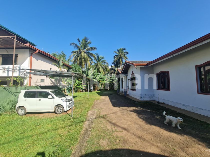 27P Water Facing Square Land For Sale In Nawala | ikman