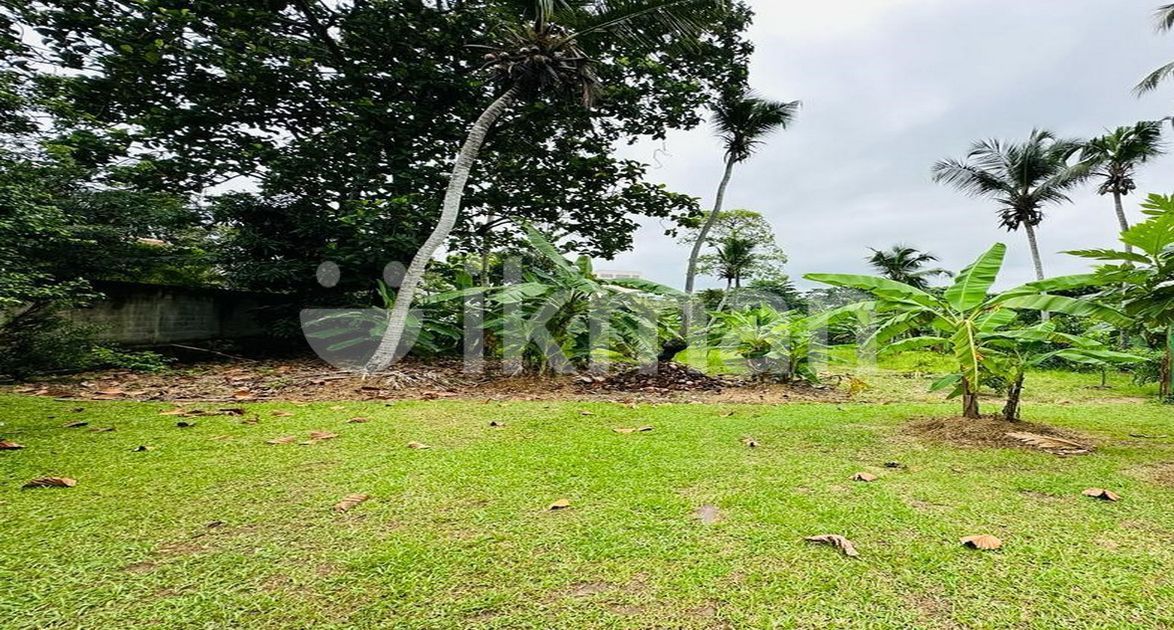 28P Lake Front Land for Sale in Pelawatta, Battaramulla (SL 14034) | ikman
