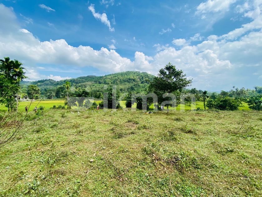 3 Acres Bare Land Facing Beautiful Paddy Field At, Malagala Padukka | ikman