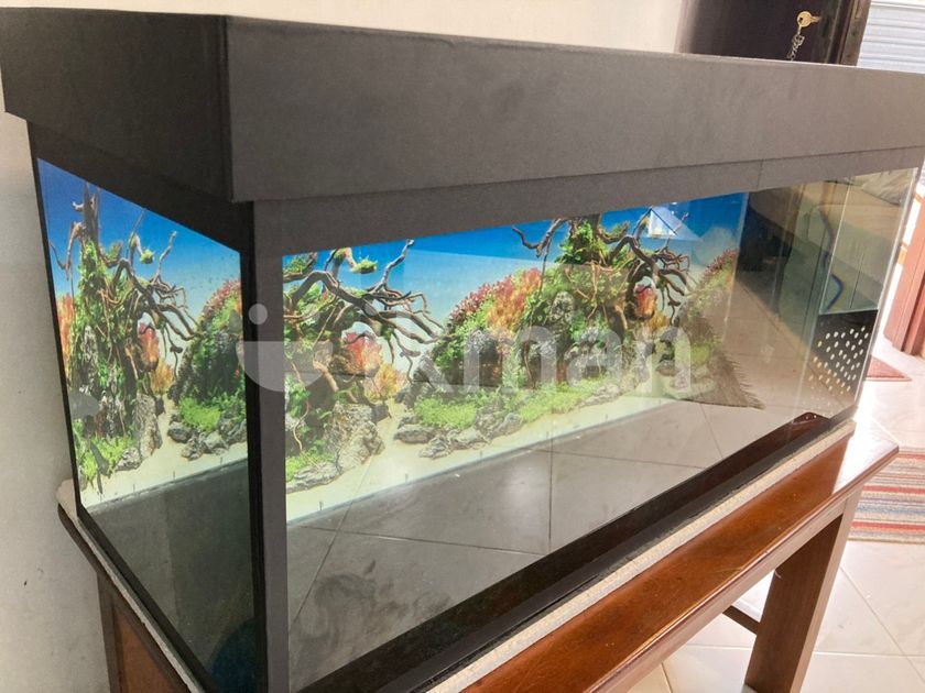 3 Feet fish tank with Sump filter for Sale in Athurugiriya | ikman