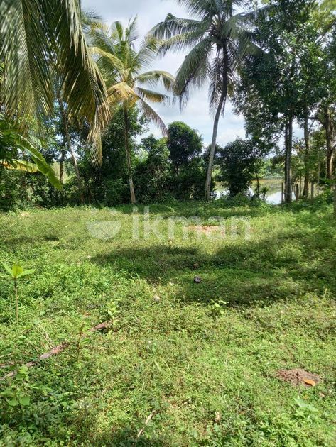 30 Perch Land Facing Paddy Field Raddoluwa Ganepola | ikman
