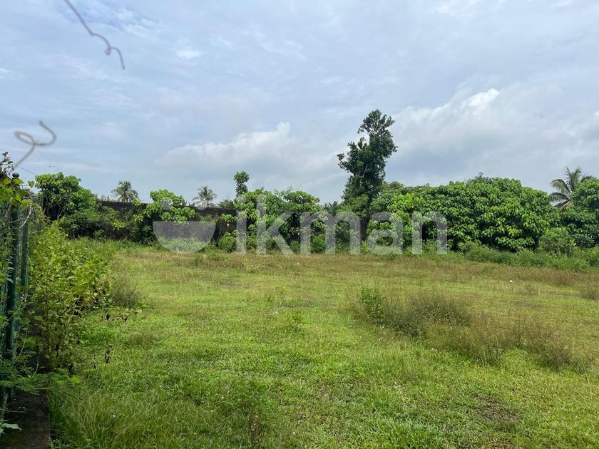 30 Perch Land in Makola Y Junction, Kiribathgoda. (LA-GAMMK-109) | ikman