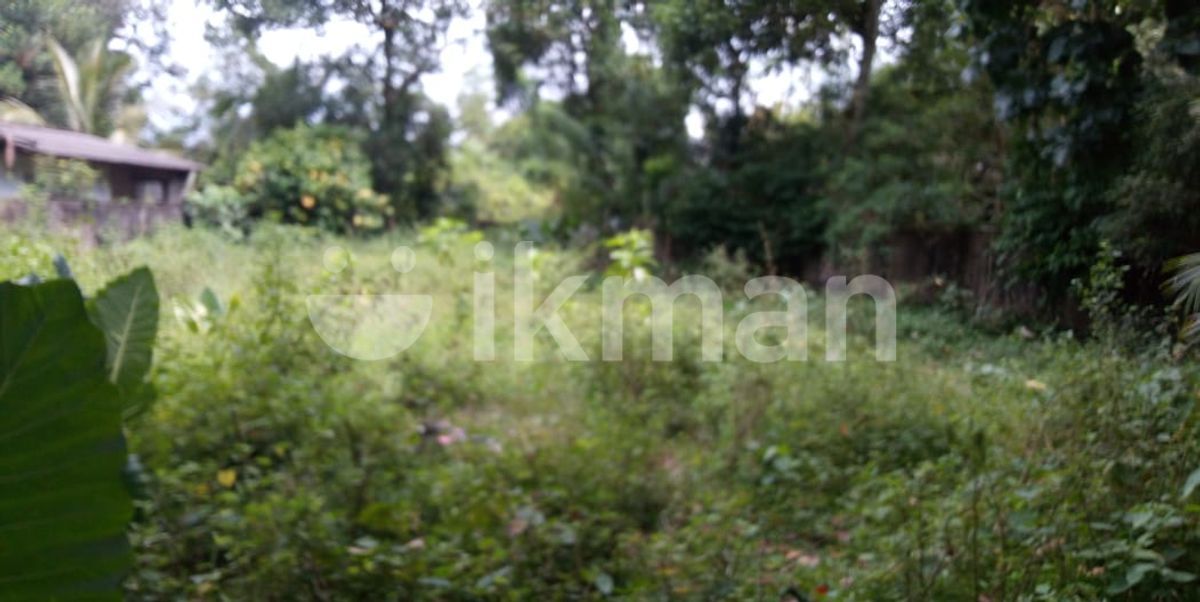 30 Perches Land Sale in Homagama | ikman