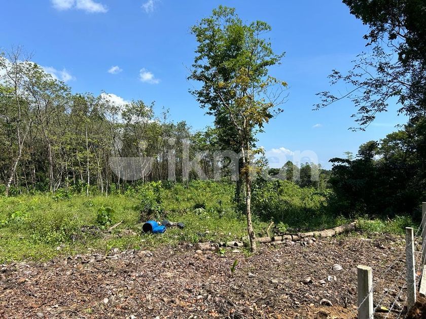 320P (2 Acres) of Land for Sale in Salawa, Kosgama (SL 14084) | ikman
