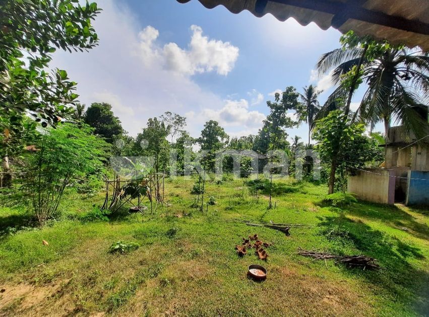 35perchs Land for sale in katana | ikman