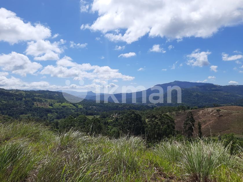 360' View Land of Sale Delthota Kondagala | ikman