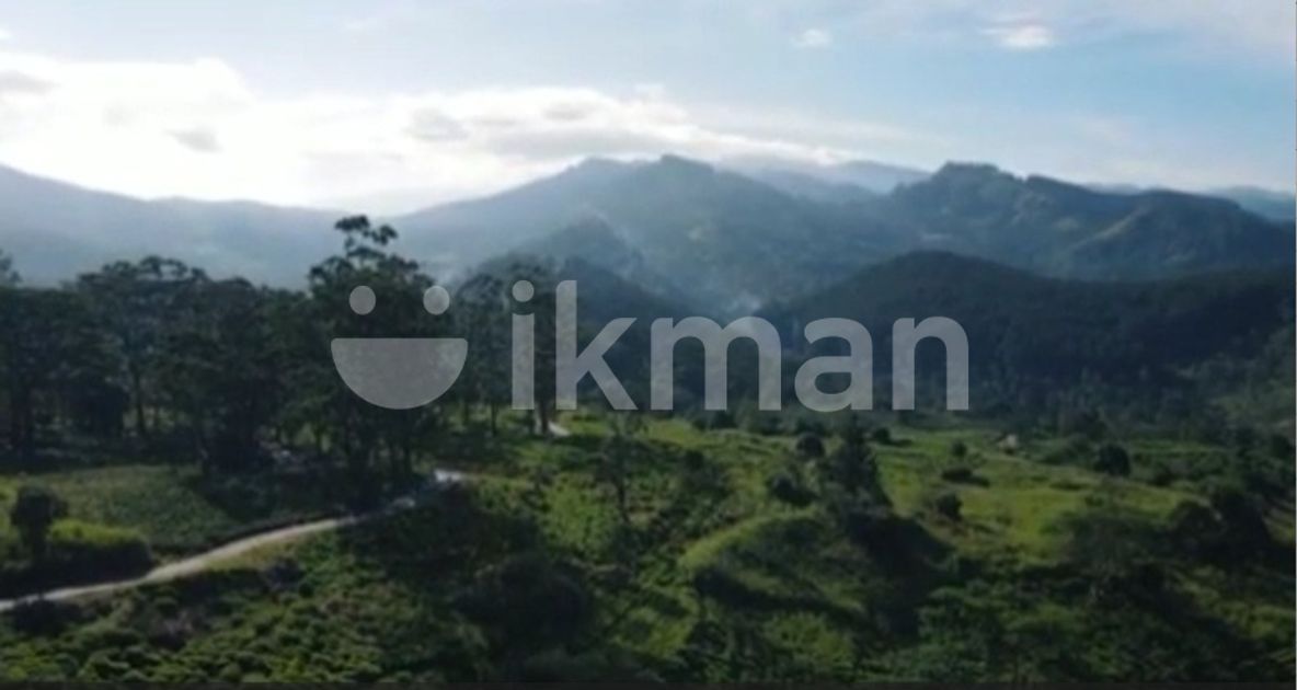 360' View Land of Sale Delthota Kondagala Road | ikman