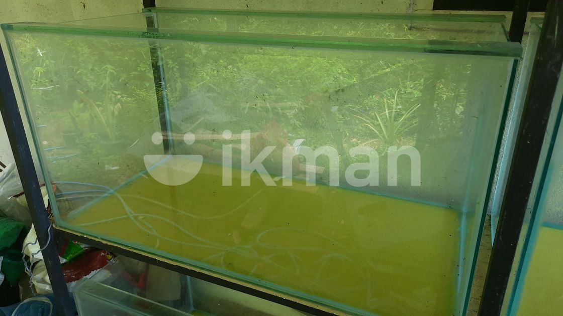 3ft Fish Tank Set for Sale in Galle City | ikman