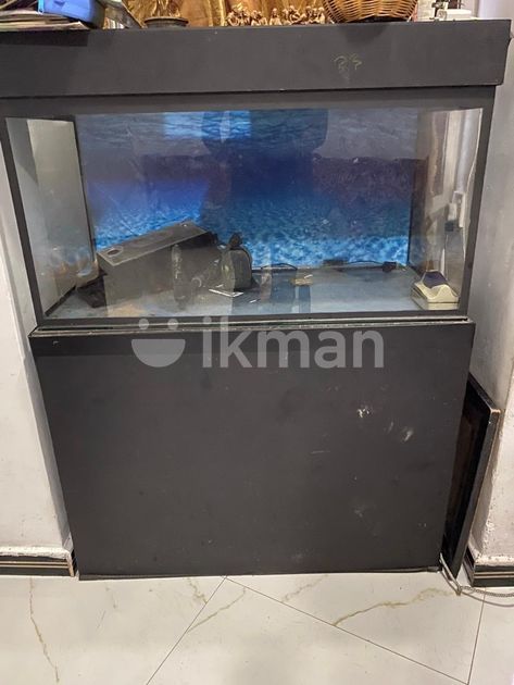 3Ft Fish Tank Full Set Used for Sale in Colombo 14 | ikman