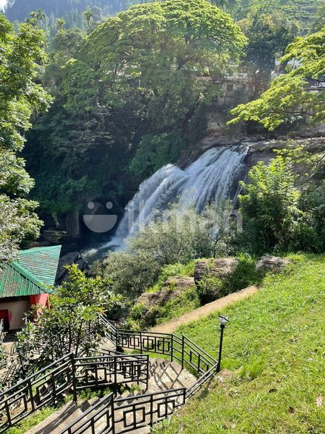 4 Acres Land in Kandy Bordering Knuckles Mountain Range | ikman