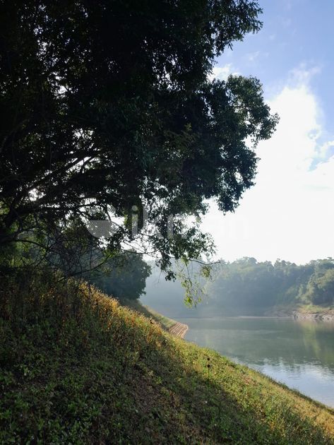 40P Land Overlooking the Victoria Reservoir in Teldeniya (SL 14432) | ikman