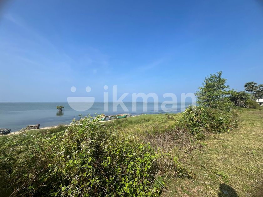 5 Acres Mundalama Lagoon Facing Shrimp farm Land(ML-PUTMD-134) | ikman