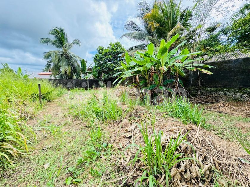 6 Perch Land Polhengoda | ikman