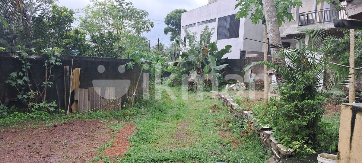6 Perch Land Walking Distance Kottawa | ikman