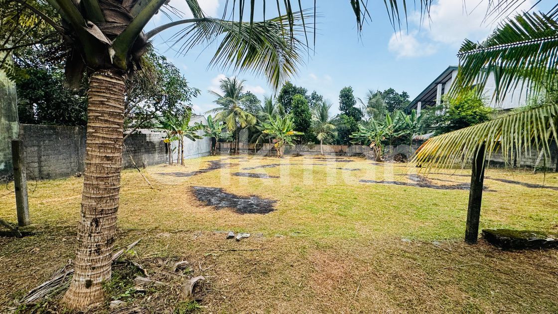 66.25 P Land for Sale – Bandaragama Road, Kesbewa | ikman
