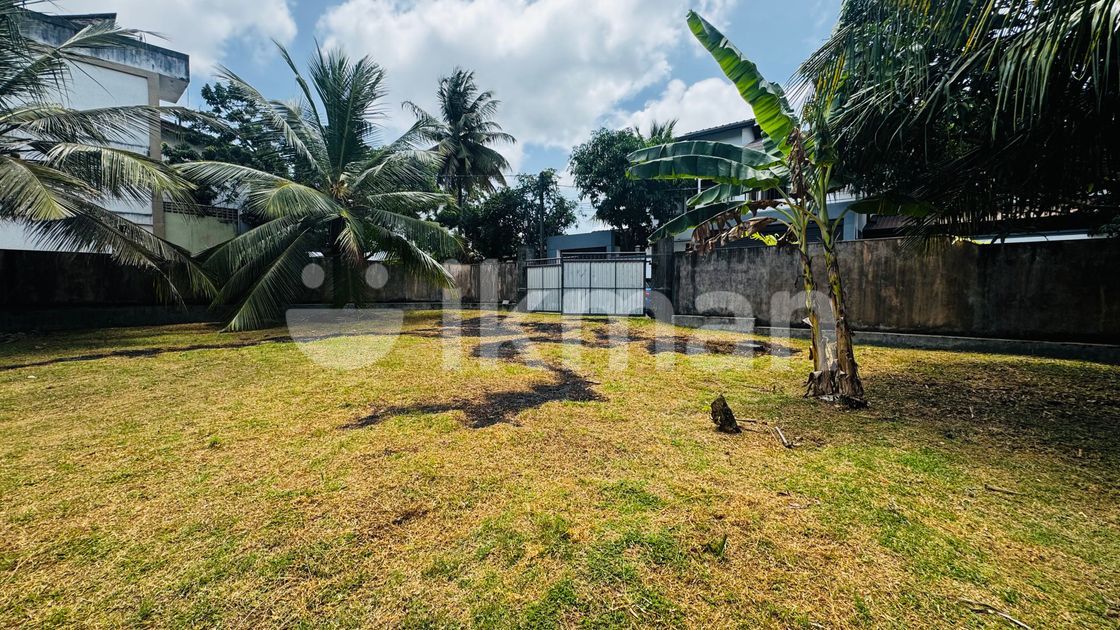 66.25 P Land for Sale – Kesbewa | ikman
